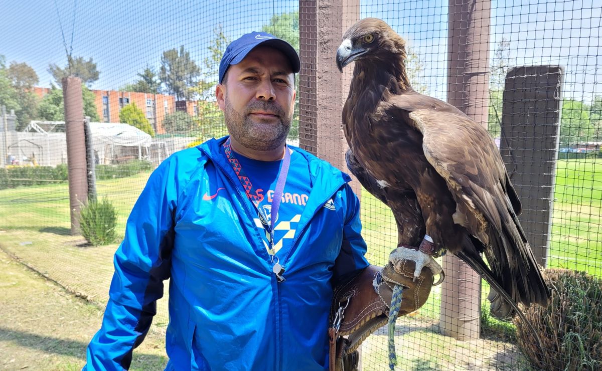 ¡Un lujo de mascota! La historia de Celeste, el águila de América que ...