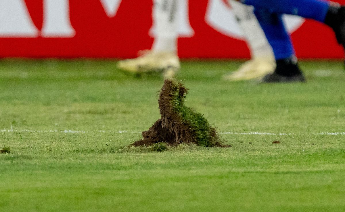 Atención Colo Colo: El canchero más importante de Chile da consejos ...