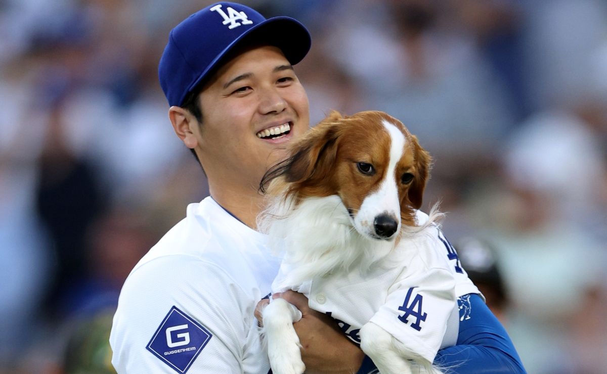 Dodgers News: Shohei Ohtani mimics his dog in hilarious on-field ...