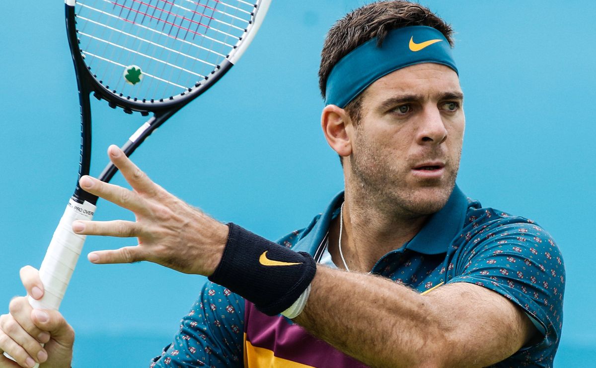 Juan Martin Del Potro chooses the best tennis player between Djokovic ...
