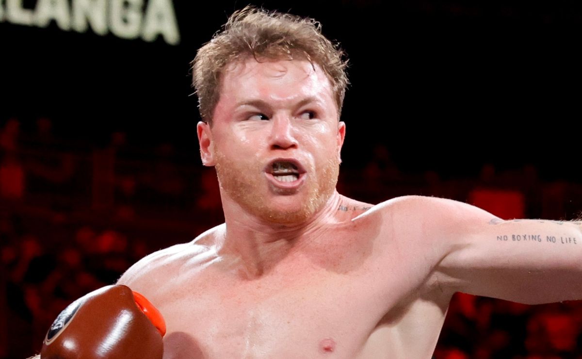 Canelo Alvarez's potential fight schedule revealed before Terence ...