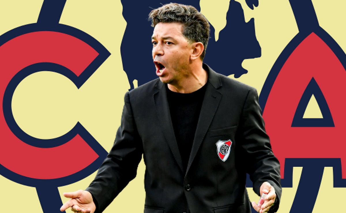 ¿Marcelo Gallardo será el nuevo técnico del América? El argentino TIENE ...