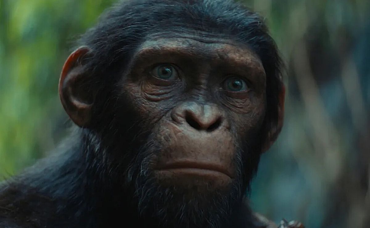 El Planeta de los Simios: orden cronológico y dónde ver la saga - Spoiler