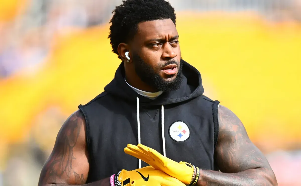 Video: DK Metcalf throws punch to fan during Lions vs Steelers - Bolavip US