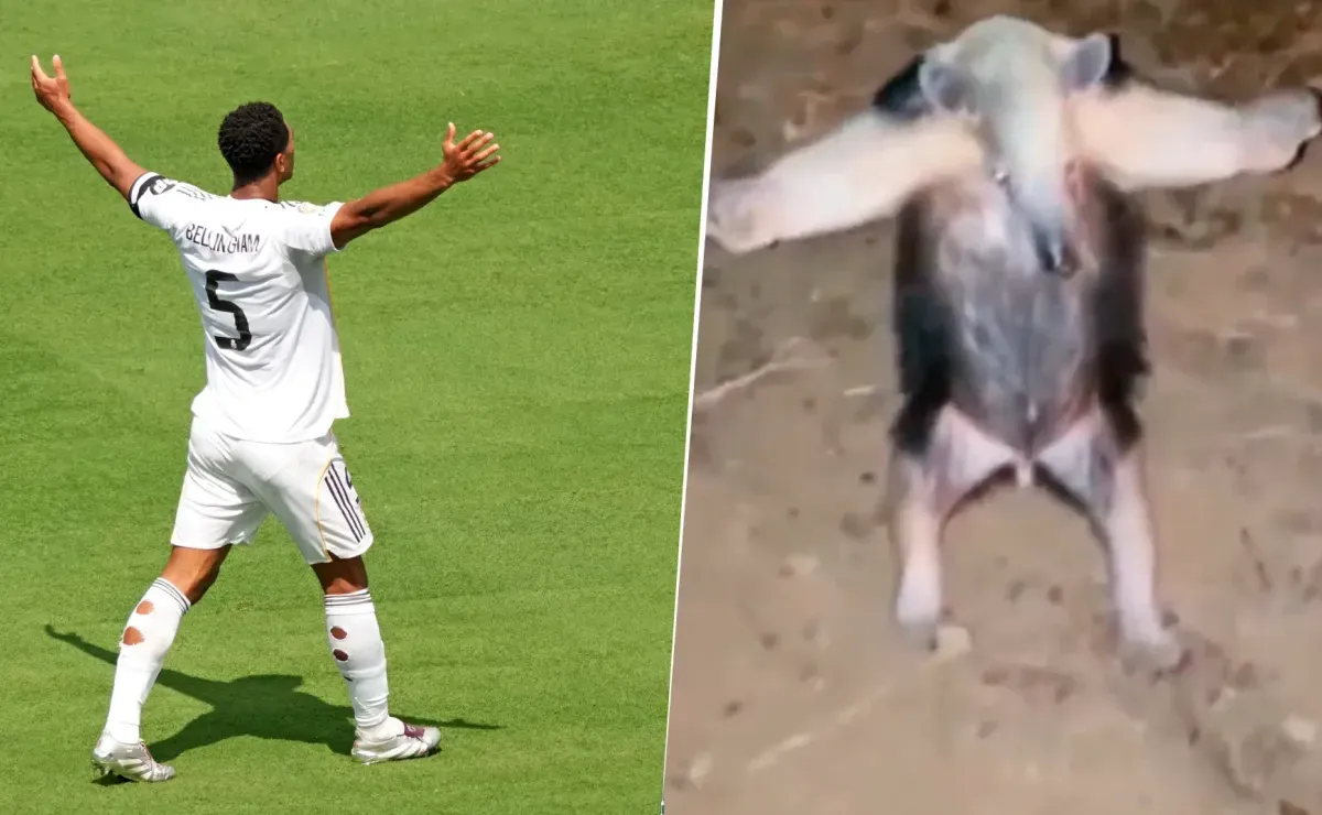 Los mejores memes tras la victoria del Real Madrid sobre el Barcelona en el Clásico de LaLiga