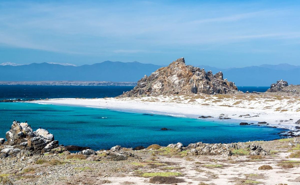 Lugares para ir de vacaciones: ¿Cómo llegar a Punta de Choros?