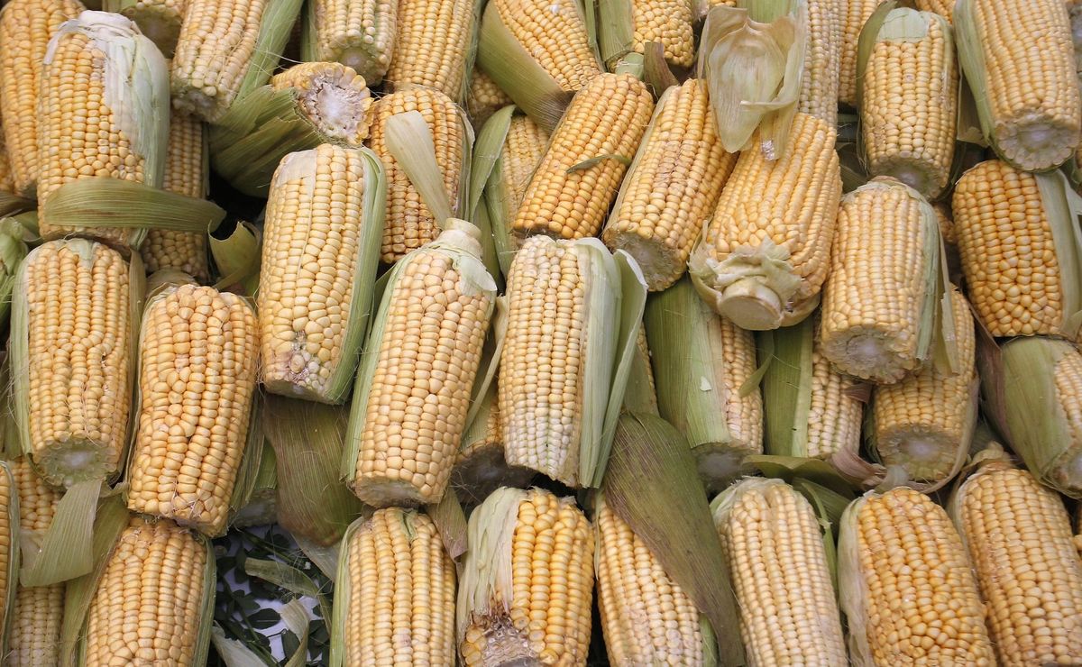 Recetas de verano: Humitas, pastel de choclo y porotos granados