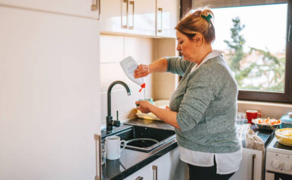 ¿Cuáles son los beneficios del Programa Mujeres Jefas de Hogar?