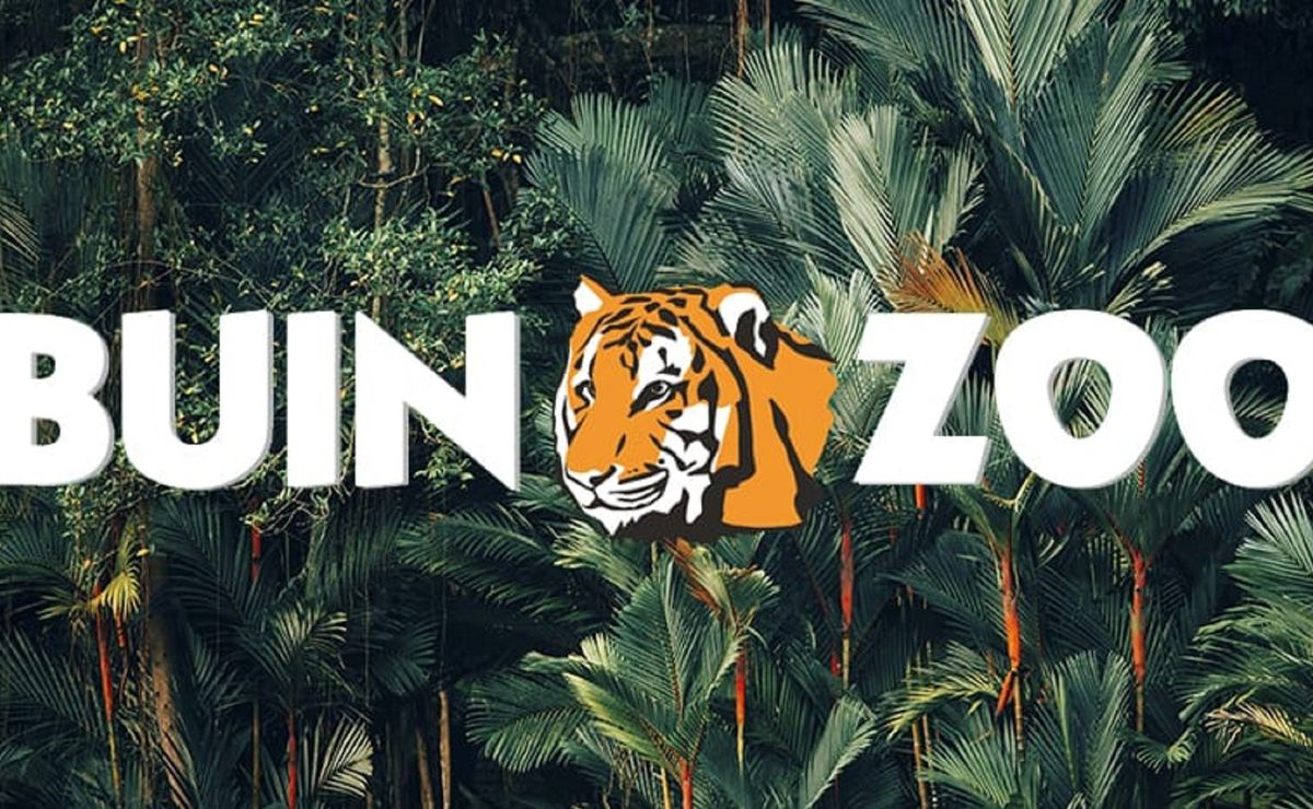Panorama en Santiago: Entradas al Buin Zoo por solo $8.990
