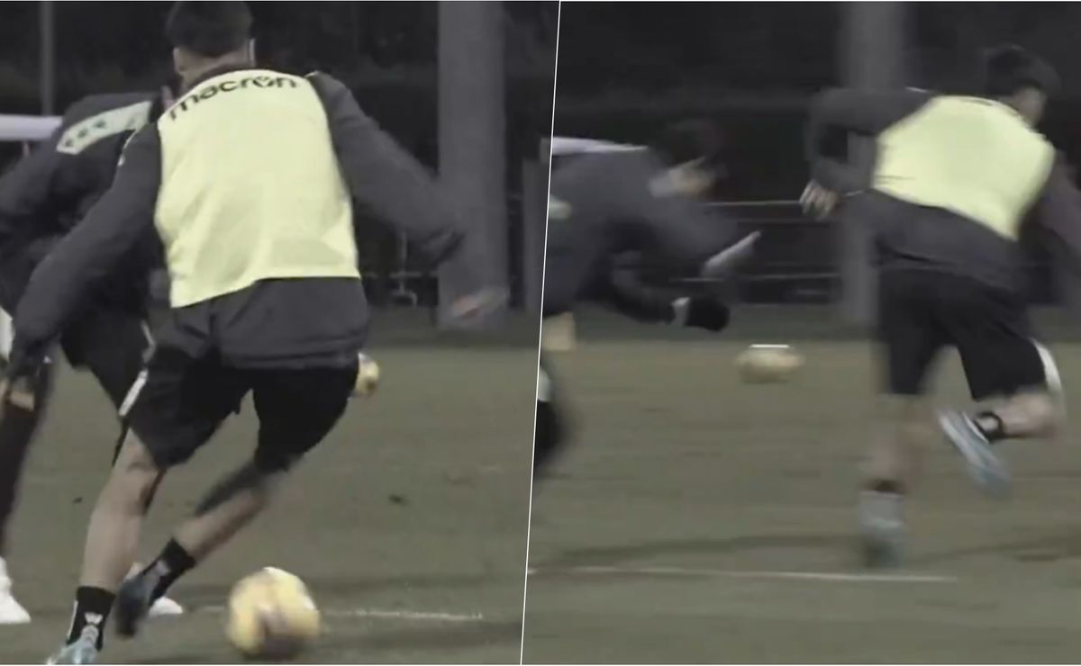 Damián Pizarro saca a pasear a un compañero en Udinese